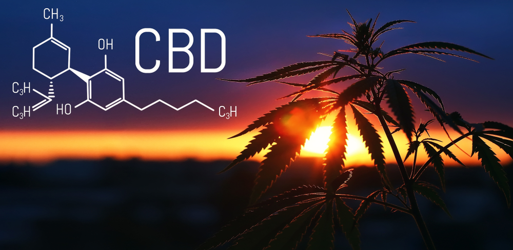 Why are CBD Gummies a great choice? – Cureganics