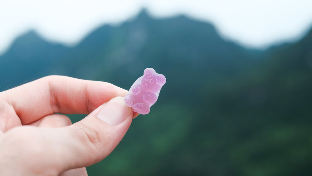 How to use CBD Gummies for Pain in 2019 – Cureganics
